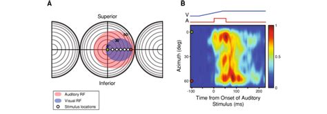 Construction Of Spatiotemporal Receptive Fields Strfs A The Borders Download Scientific