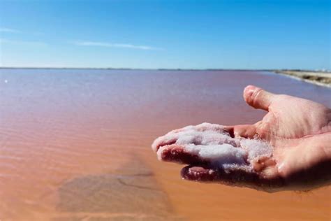 De Onde Vem O Sal Encontrado No Mar Que Vai Para A Sua Mesa Letras