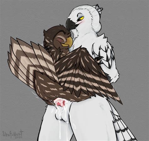 Rule 34 Anthro Anthro On Feral Anthro Penetrating Anthro Penetrating Feral Avian Bird Blush
