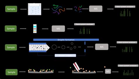 Schematic Representation Of Ms Techniques Used In Proteomics I