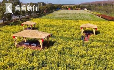 上海成清明小长假旅游热门目的地 清明假期 旅游预订量同比增长128看看新闻网
