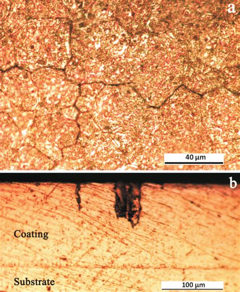 Optical Micrographs Showing The A Surface And B Cross Section Of