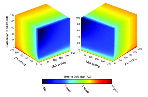 Concurrent Effect Of Allocation And Futile Cycles On Tag Download Scientific Diagram