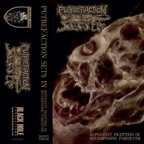 Prinsloo Gordon Artifact Putrefaction Sets In