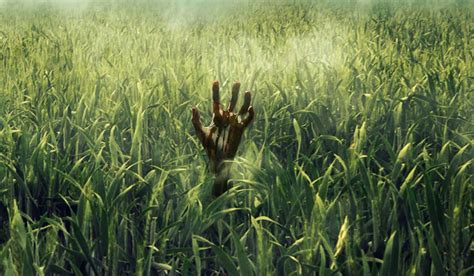 Obra De Stephen King Adaptada A Filme Pela Netflix