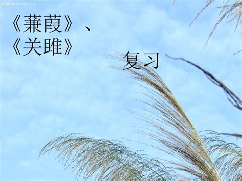 《关雎》《蒹葭》复习题word文档在线阅读与下载无忧文档