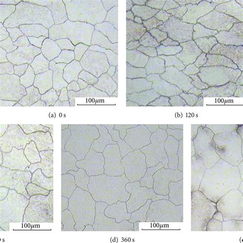 Variation Of Austenite Grain Sizes Download Scientific Diagram