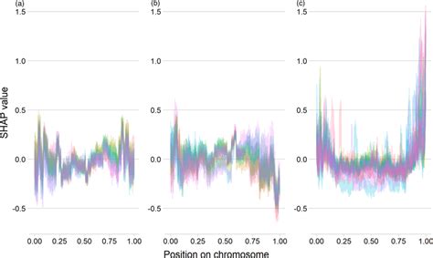Shap Values As A Measure Of Importance In Predicting Dispensable Genes