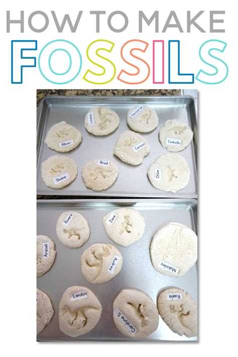 How To Make Fossils Sarah Chesworth
