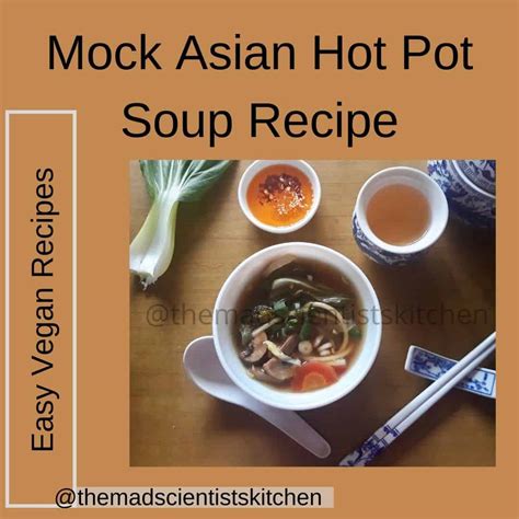 Mock Asian Hot Pot Soup Recipe The Mad Scientists Kitchen