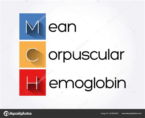 Mch Mean Corpuscular Hemoglobin Acronym Medical Concept Background Stock Vector Image By