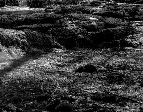 Sparkling Stream Shutterbug