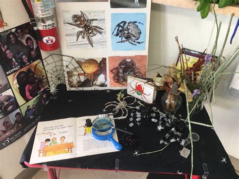 Pin By Inji El Ghannam On Teaching Themes Teaching Themes Spider