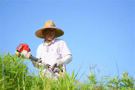 Old Man Mowing Grass With Mower 草刈機で草刈りをする高齢者 農作業 農業 おじいさん おばあさん 農家