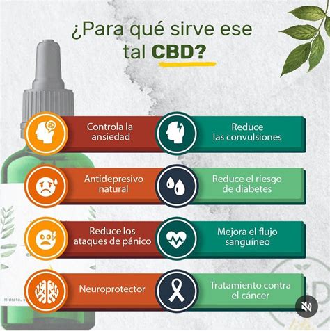 Aceite De Oliva Con Cbd Full Spectrum Ml Mercannabico