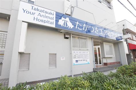【臨床獣医師監修】犬のマラセチア性外耳炎を分かりやすく解説！見分け方と管理法 たかつきユア動物病院｜高槻市栄町｜犬・猫専門（ワクチン、健康