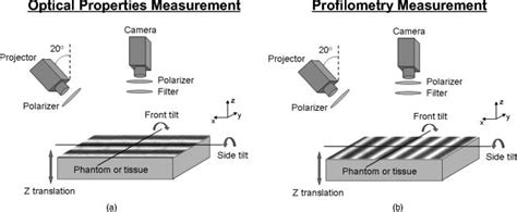 Three Dimensional Surface Profile Intensity Correction For Spatially Modulated Imaging