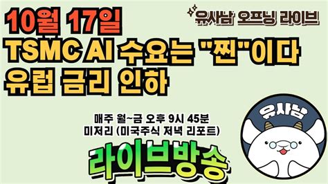 10월 17일 미저리 브리핑 Tsmc 어닝 멋짐이 폭발했다 유럽 금리인하 Youtube