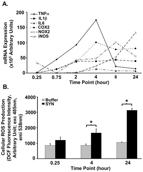 Synuclein Activates Microglia In A Model Of Parkinsons Disease
