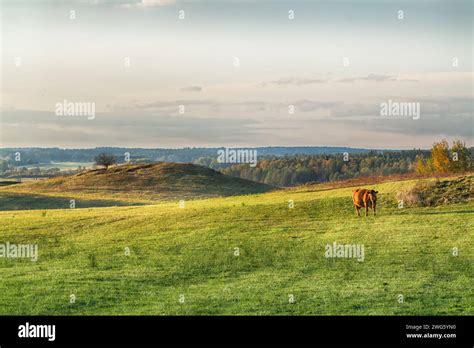 Landscape Autumn Field With Colourful Trees Autumn Poland Europe And