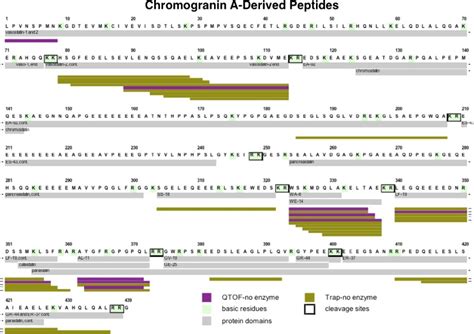 Neuropeptidomic Analyses Of Human Chromogranin A Derived Peptides In