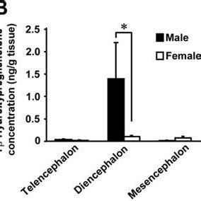 Sex Differences In The Concentration And Production Of And