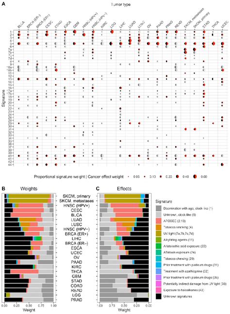 Mutation Weights And Cancer Effects For Unknown And Download Scientific Diagram