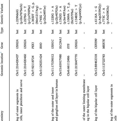 Results Of Gedi R Genetic Testing For Irds Ara Testing And Final Download Scientific Diagram