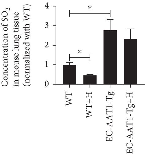 Increased Ec Derived So2 Ameliorates Hypoxia Induced Ph A