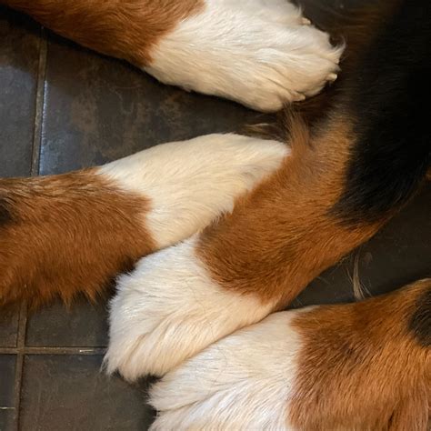 Bunsen Berner Bunsen Berner Added A New Photo