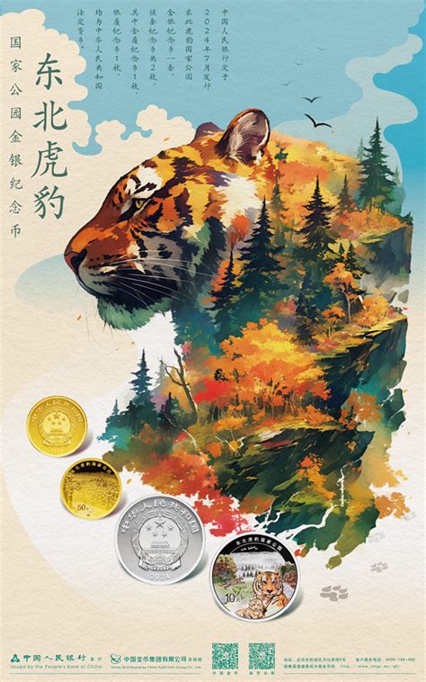 金币网
