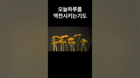 이기도로 기도했더니 오늘하루를 완전히 바꿨습니다 응답받았습니다 아침에 하루를 드리는 기도 하루를 위한 기도 날기새 분당우리교회 기도잘하는 방법 낭독기도공동체