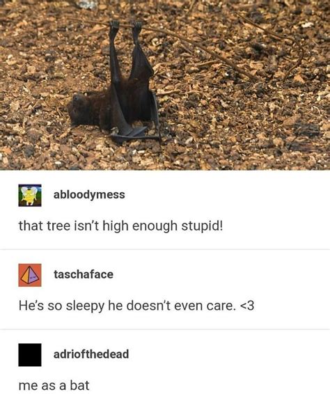 50 Hilarious Screenshots From Tumblr That Prove Its One Of The