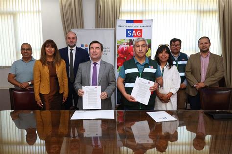Sii Y Sag Firmaron Convenio De Intercambio De Información Y