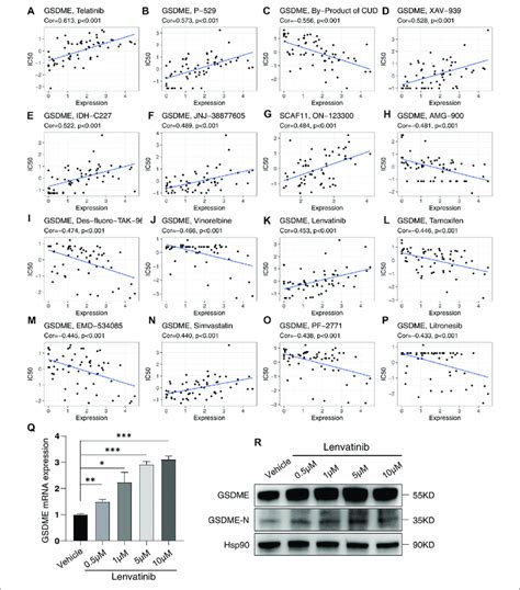Sensitivity Correlation Analysis Between The Independent Prognostic