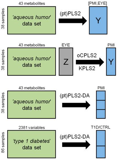 Metabolites | Free Full-Text | PLS2 in Metabolomics