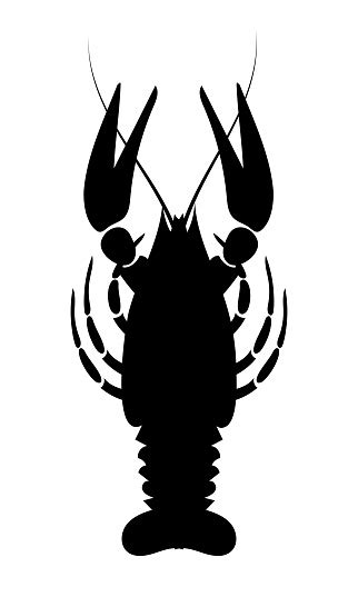 왕새우 아이콘입니다 강 가재 Langoustine 또는 흰색 배경에 고립 갑각류 요리 해산물 디자인입니다 벡터 일러스트입니다