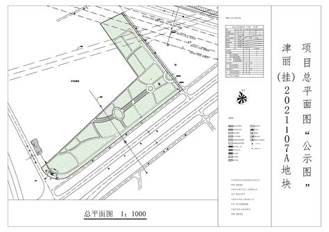 （东丽区）津丽（挂）2021 07a地块项目建筑工程设计方案总平面图公示规划信息天津市东丽区人民政府