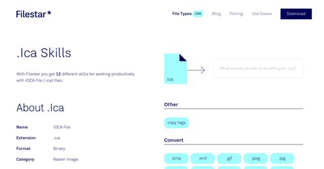 filestar ica skills
