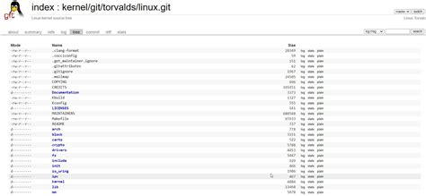 Linux 6 0 Lands Sementara Linus Menggoda Perubahan Besar Di Versi