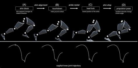 The Presented Conceptual Framework For An Efficient Linear Acceleration Download Scientific