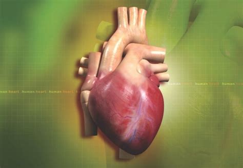 Heart Scars Reveal Sudden Death Risk Imperial News Imperial College