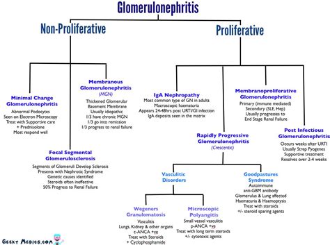Glomerulonephritis Geeky Medics Renal Physiology Anatomy And