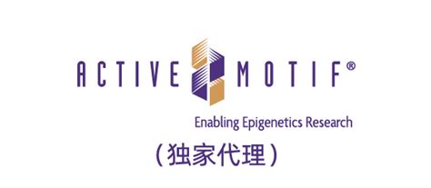 Peg300 Proteintech 武汉三鹰生物技术有限公司