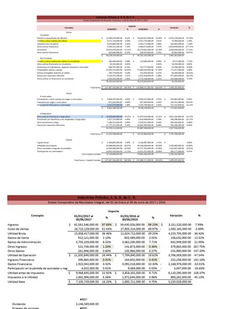 Ejemplo De Razones Financieras Pdf Compartir Finanzas Capital