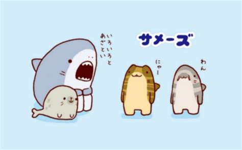 Pin By Kaijay Ee On Samezu Shark Cute Cartoon Drawings Cute Kawaii