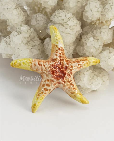 Magnete Stella Marina In Ceramica Artigianale Siciliana Mobilia Store