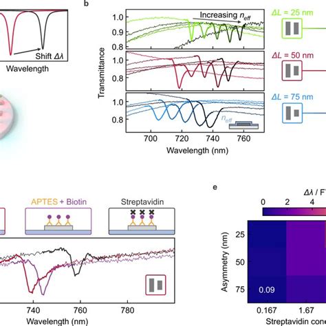Refractive Index And Molecular Biosensing With Radial Bics A Sketch Of Download Scientific