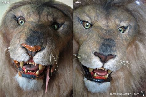 Jumanji Life Sized Lion Movie Costume Conservation Tom Spina Designs